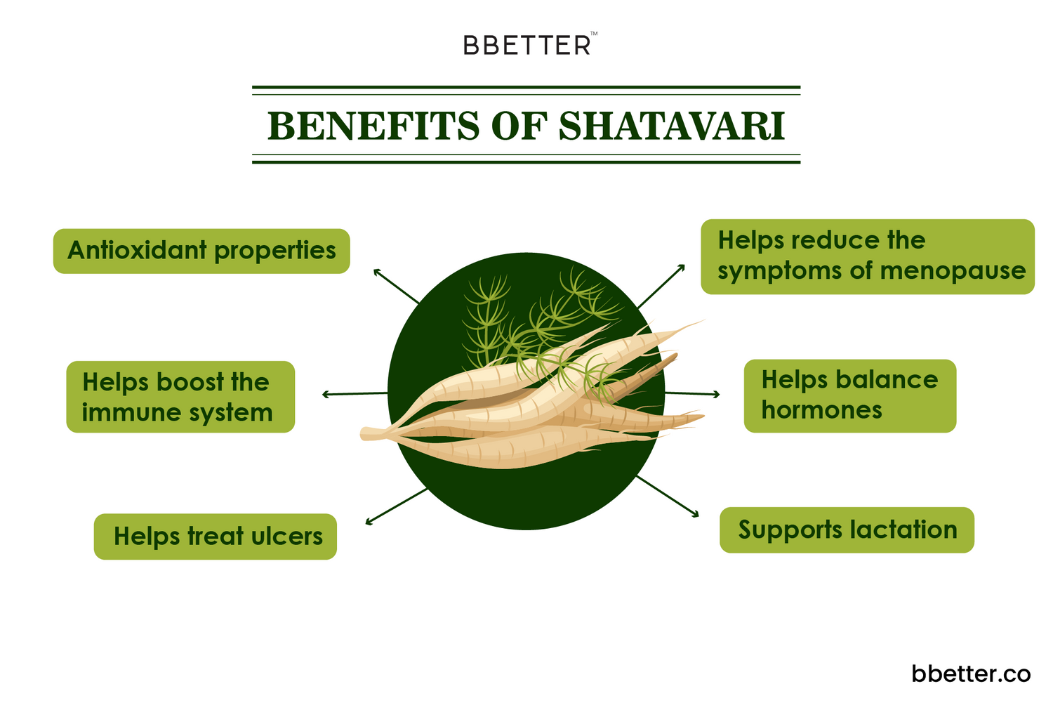An overview of the Ayurvedic herb: Shatavari – BBetter Store